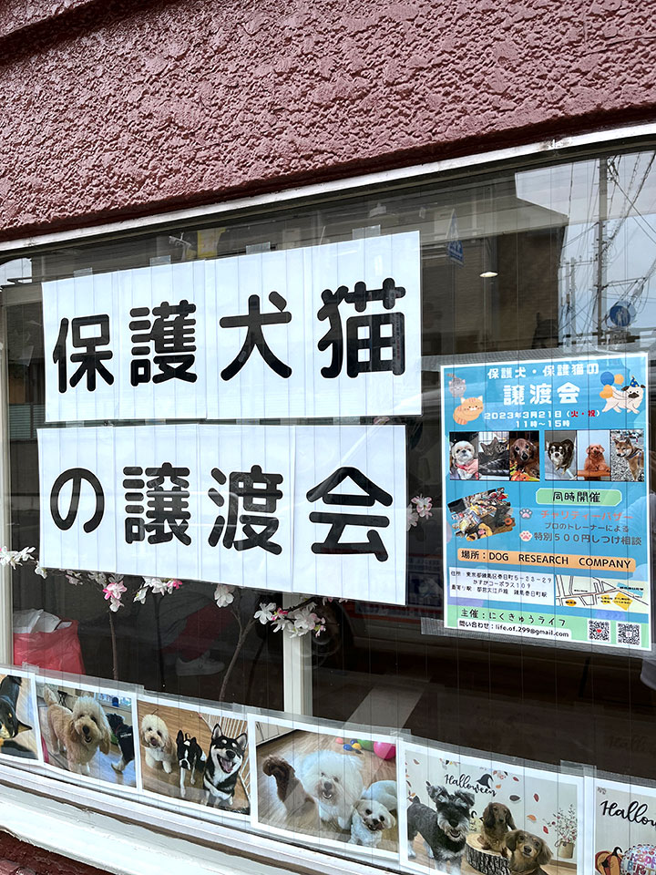 Adapt Dog-保護犬活動支援‣ Dog Research Company